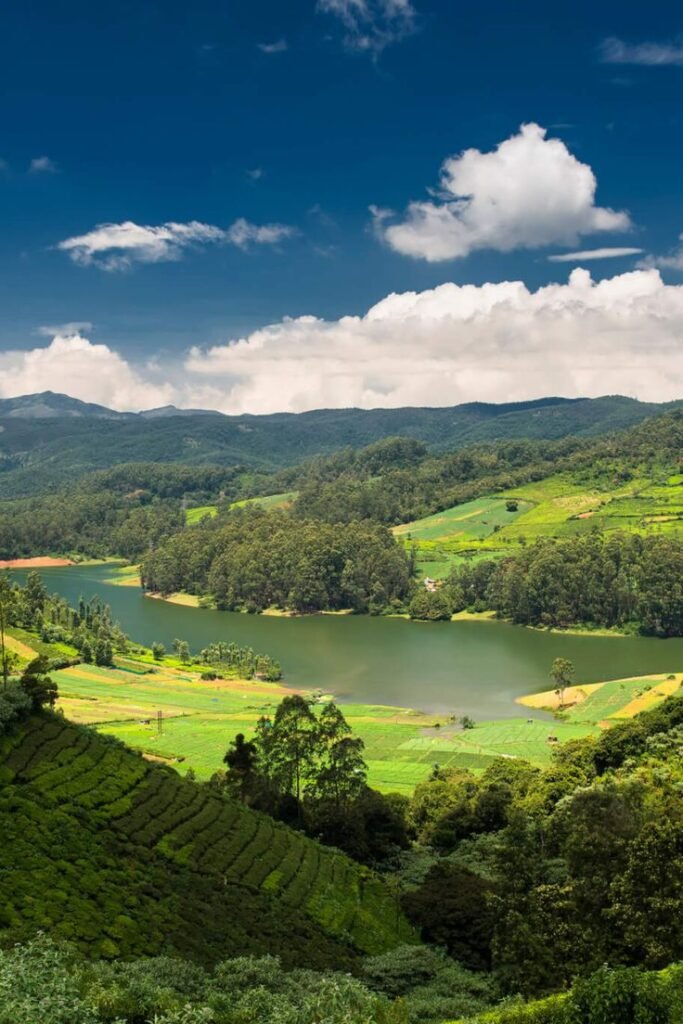Best Place to Stay in Ooty for Couples