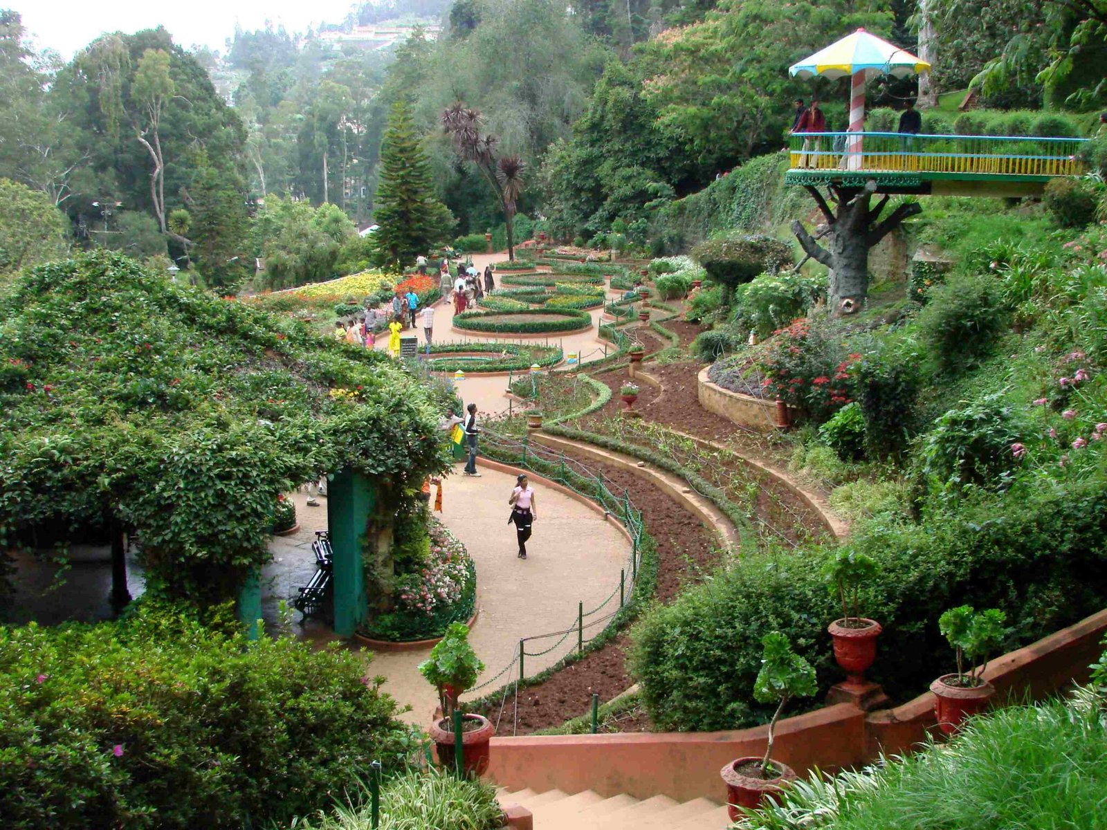 10 Places to Visit in Ooty and Coonoor in 3 Days - Styles Queues