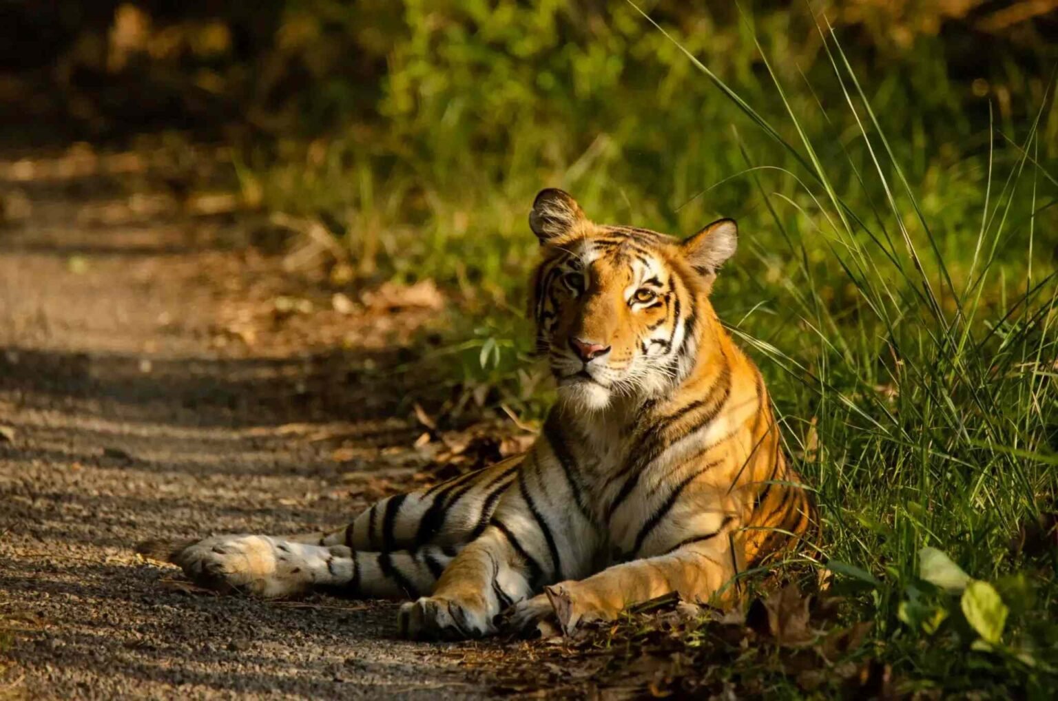 10 Best Places in Erode for One Day Trip - Styles Queues