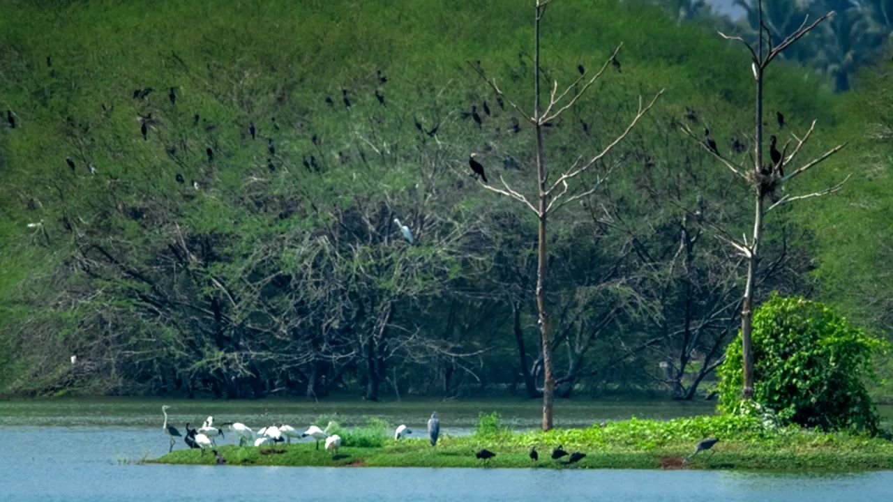 10 Best Places in Erode for One Day Trip - Styles Queues